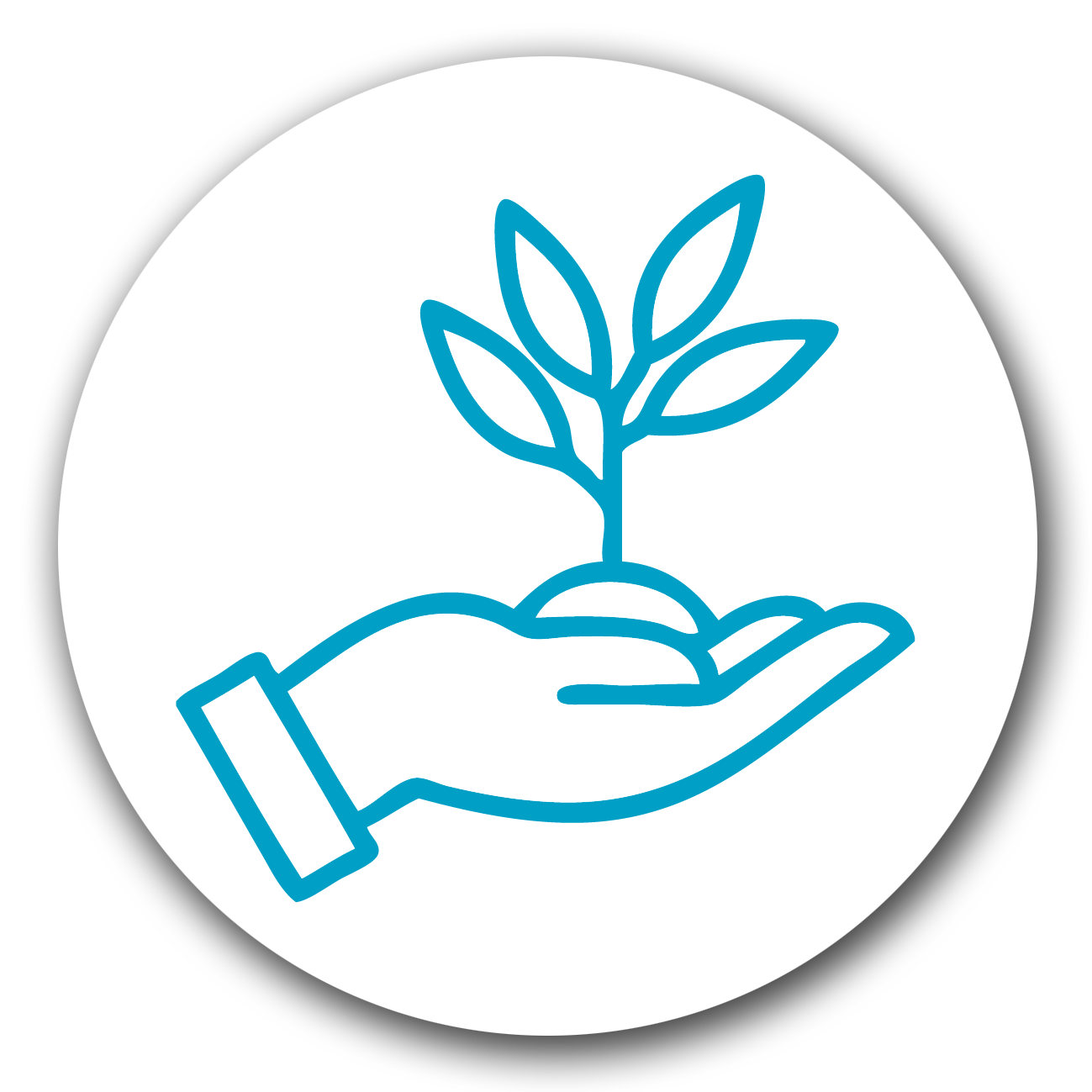 Lisi Grows Best Shop – Take it easy — Grow with Lisi